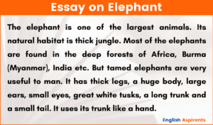 Essay on Elephant for Students and Children [100,150,200 Words]