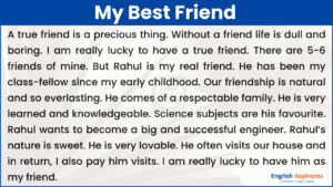 My Best Friend Essay in English | 100, 150, 200, 300, 500 Words